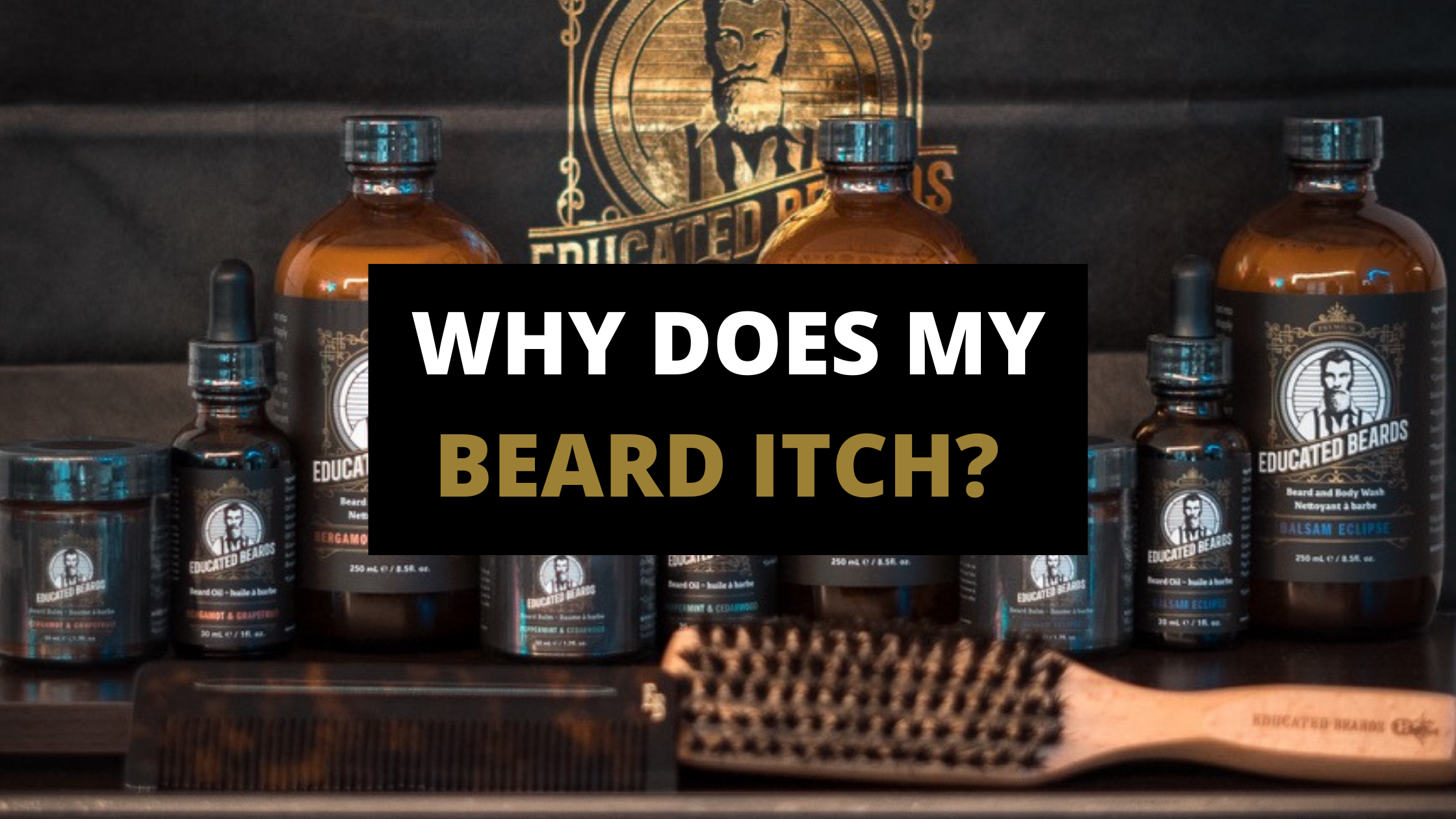 WHY DOES MY BEARD ITCH? – Educated Beards